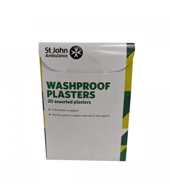Salonpas Plaster 10's
